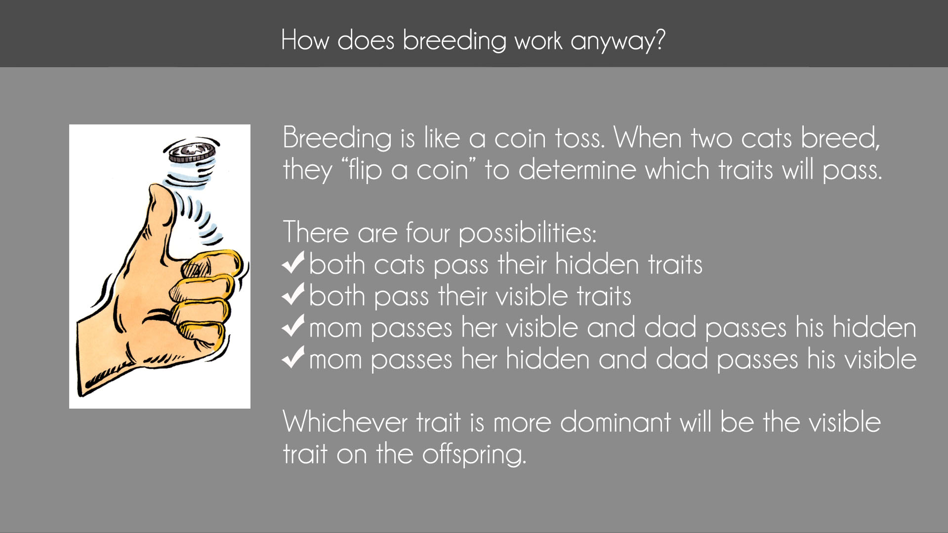 Getting Started With KittyCatS